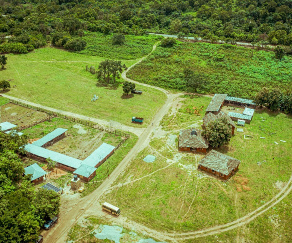 Blonde Obsession and Western Influence: An Interview with Stephen Buoro ...